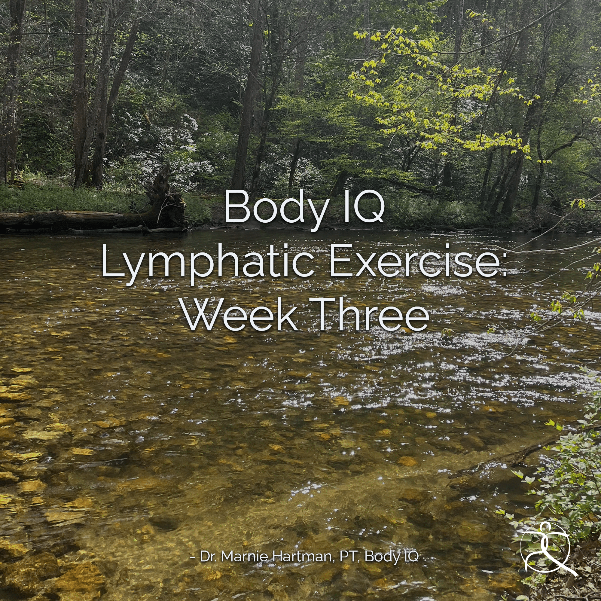 Lymphatics Exercise - Week Three - Body IQ